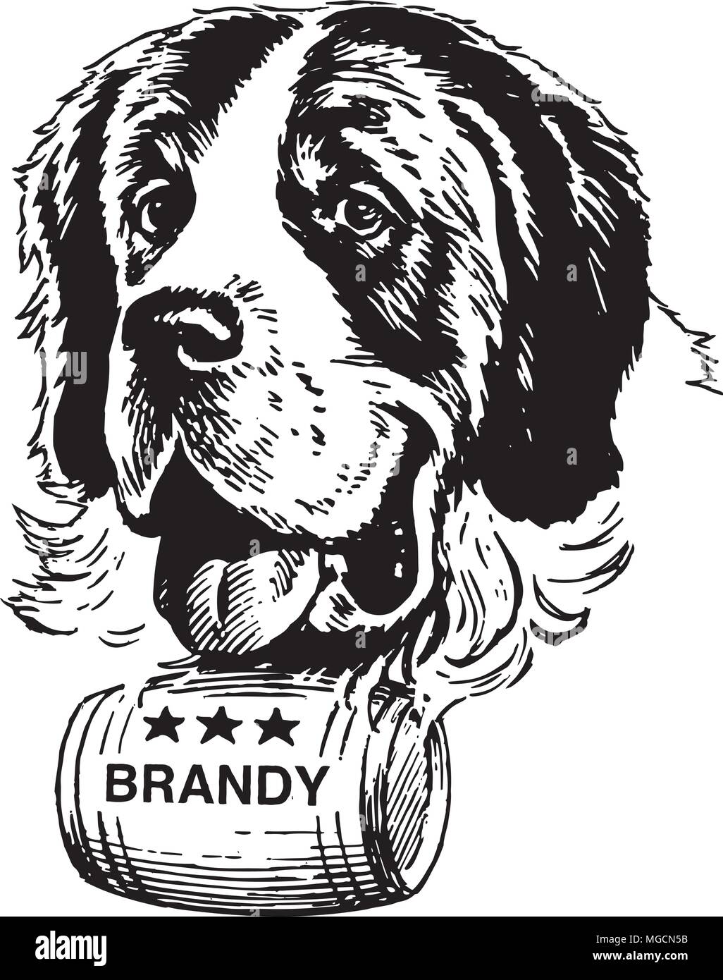 Saint Bernard Rescue Stock Photos & Saint Bernard Rescue Stock Images ...