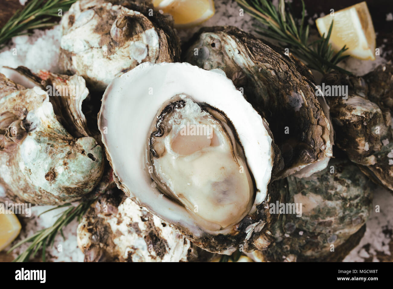 How To Open An Oyster High Resolution Stock Photography and Images - Alamy