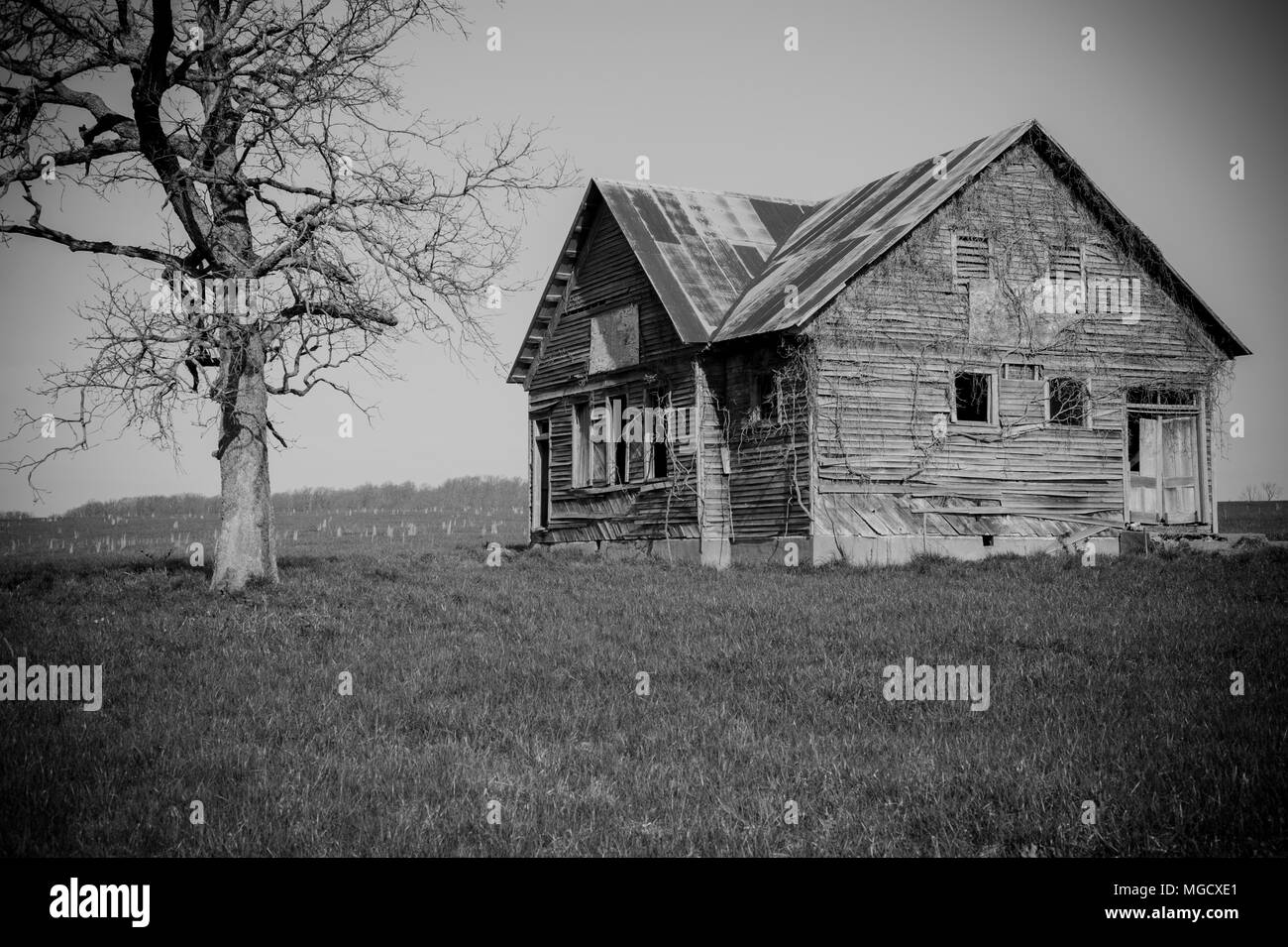 An old, abandoned, decrepit farmhouse and dead tree black and white ...