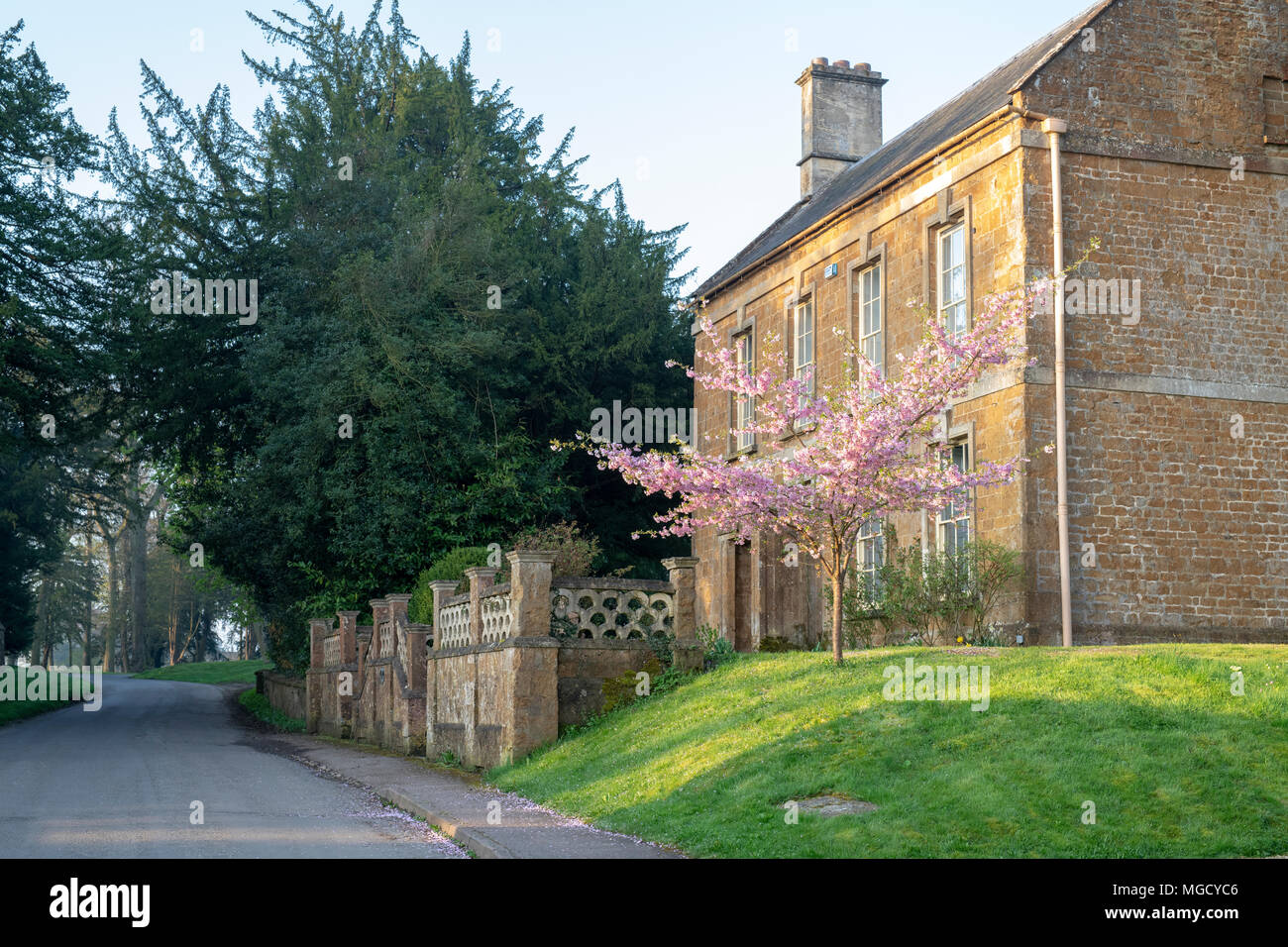 Spring blossom trees tree hi-res stock photography and images - Alamy