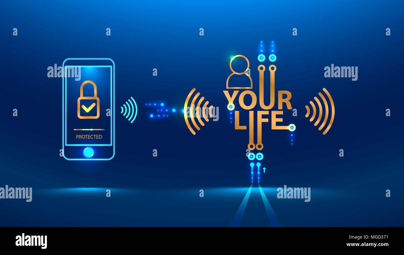 The protection of personal data and privacy in the Internet and social ...