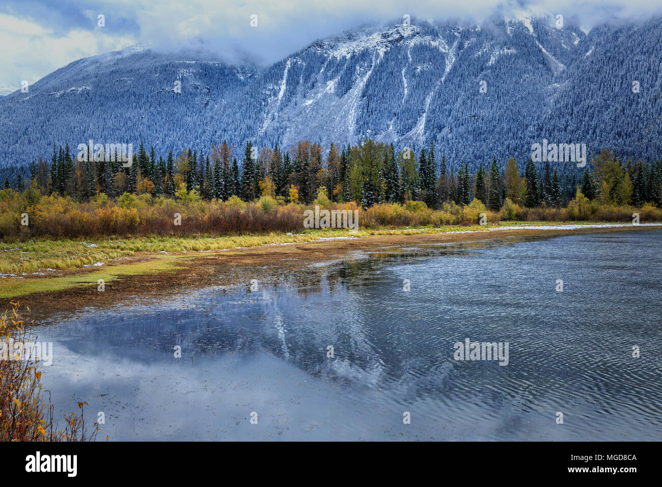 Moose lake hi-res stock photography and images - Alamy