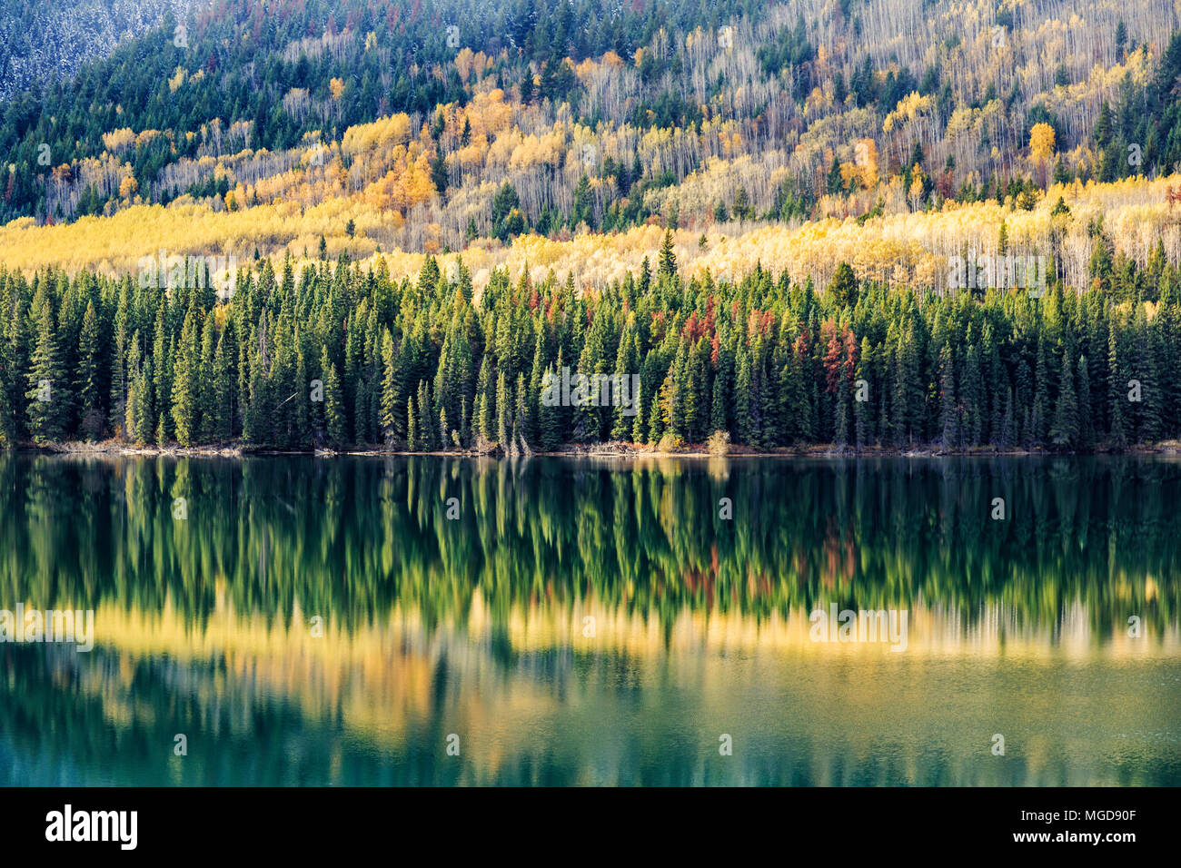 Yellowhead route hi-res stock photography and images - Alamy