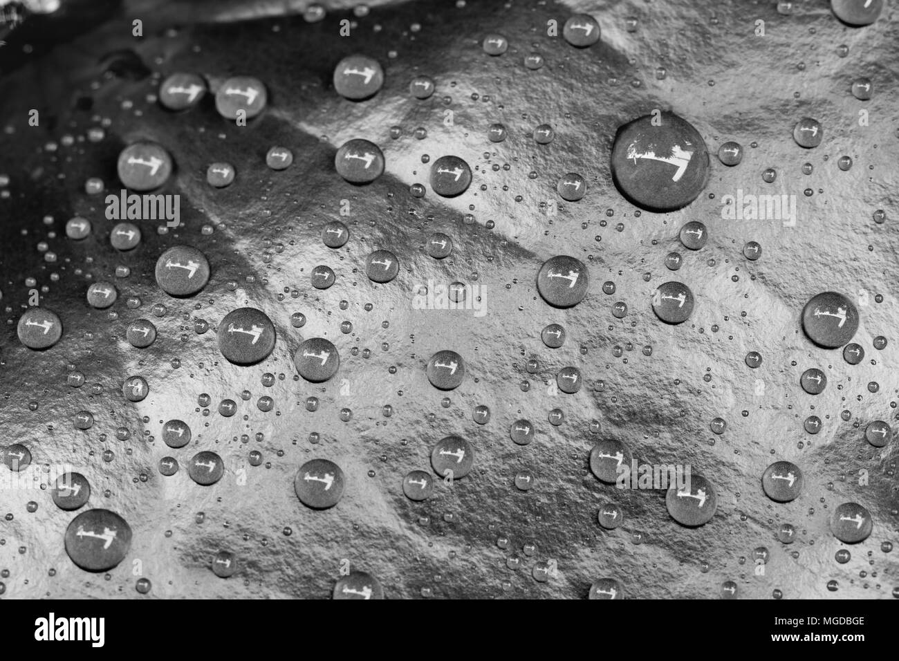 Raindrop on leaves Black and White Stock Photos & Images - Alamy