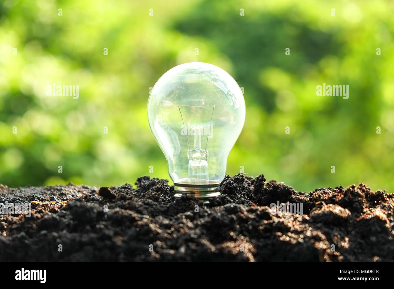 idea and energy concept Light bulb in soil Stock Photo - Alamy