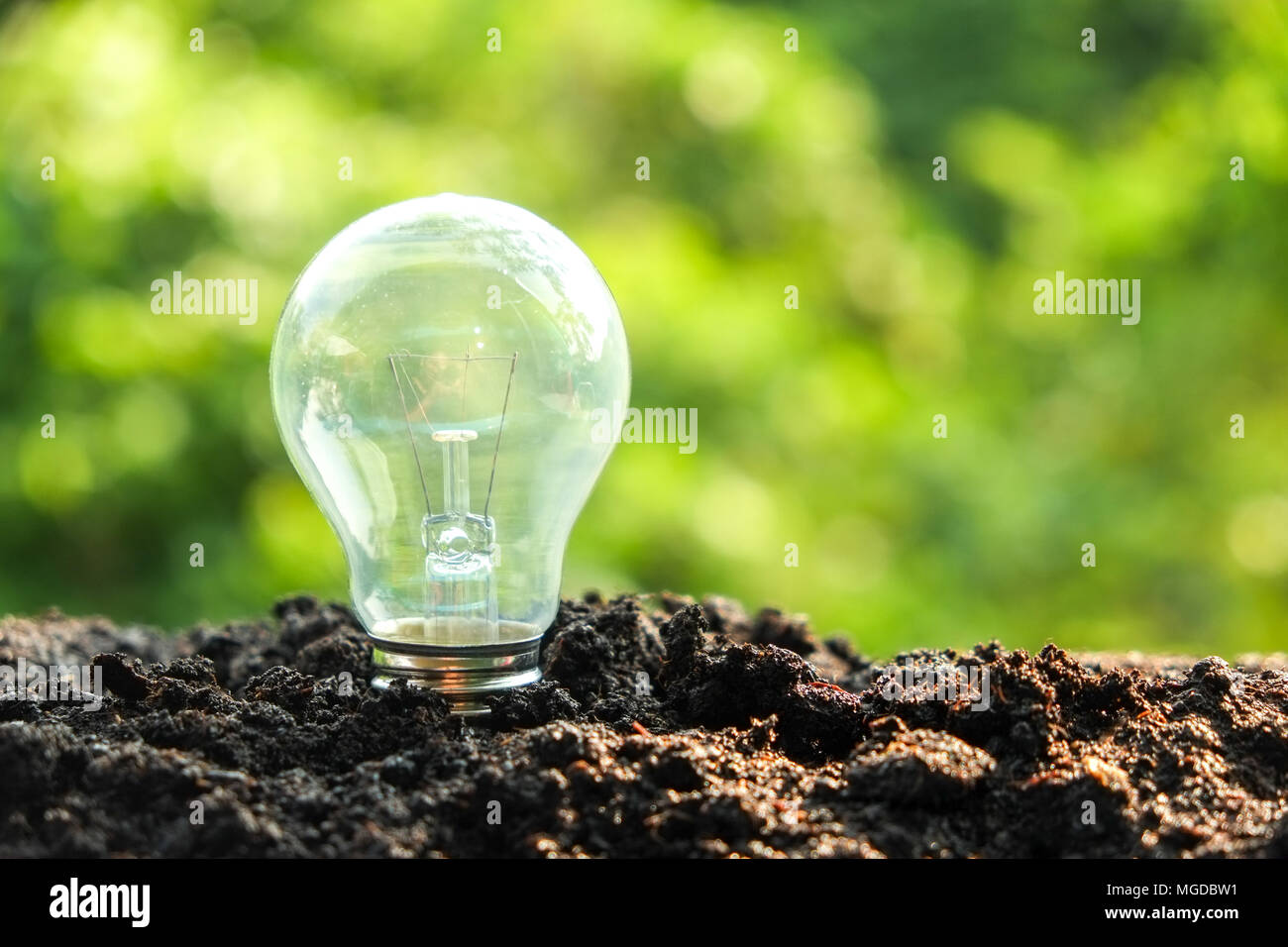idea and energy concept Light bulb in soil Stock Photo - Alamy