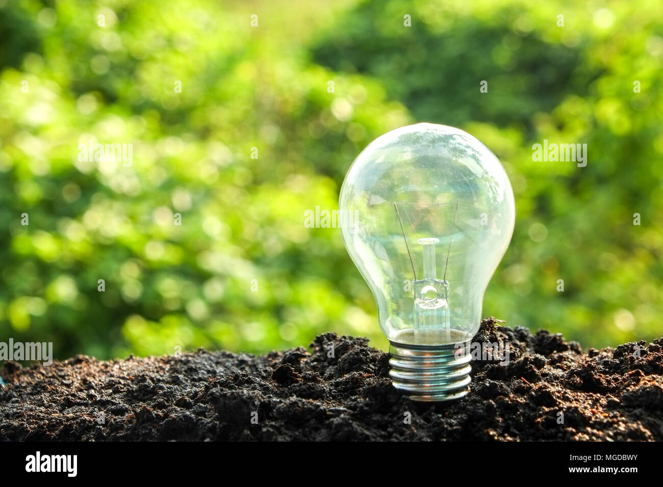 idea and energy concept Light bulb in soil Stock Photo - Alamy