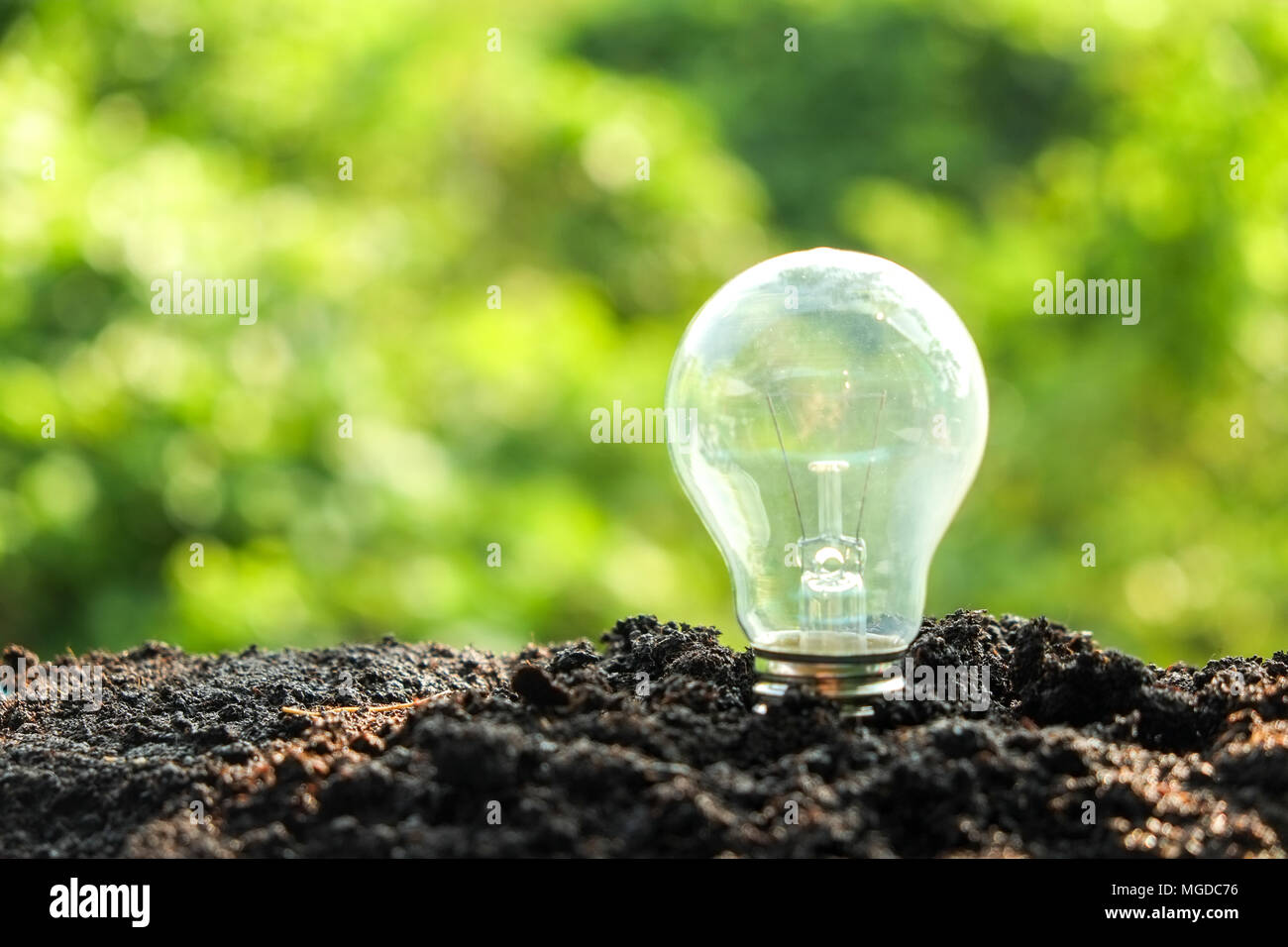 idea and energy concept Light bulb in soil Stock Photo - Alamy