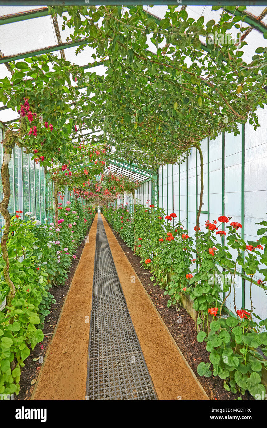 BRUSSELS, BELGIUM, APRIL 26, 2018: The Royal Greenhouses of Laeken. A ...