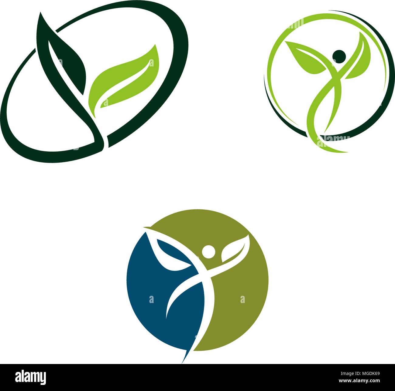 Leaf Health Template Set Stock Vector Image & Art - Alamy