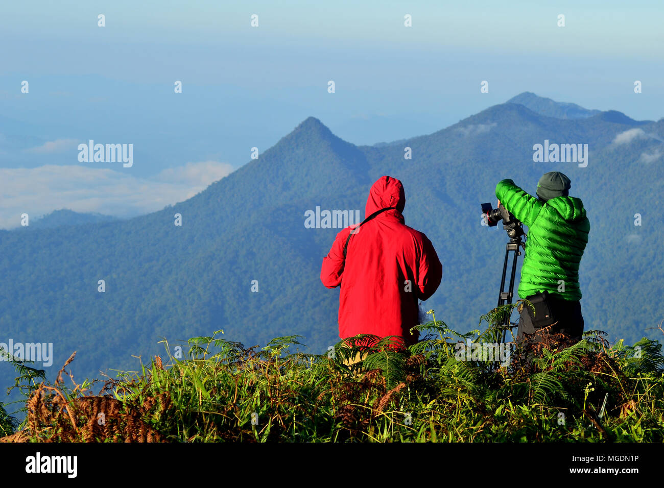 The Meratus Mountains, South Borneo, Indonesia Stock Photo - Alamy