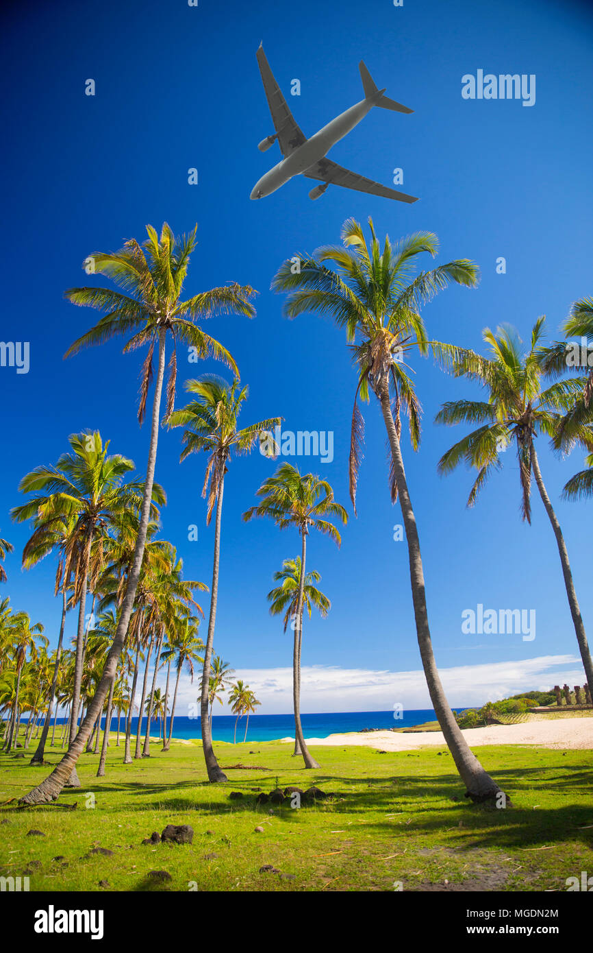 Plane over palm tree hi-res stock photography and images - Alamy