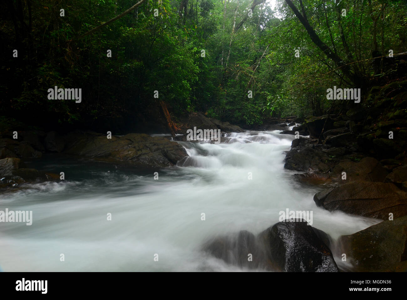 The Meratus Mountains, South Borneo, Indonesia Stock Photo - Alamy