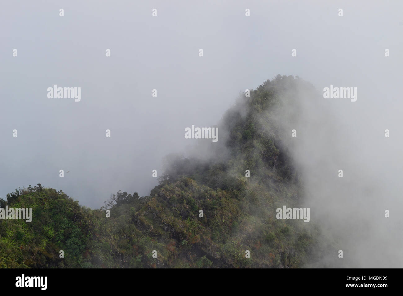 The Meratus Mountains, South Borneo, Indonesia Stock Photo - Alamy