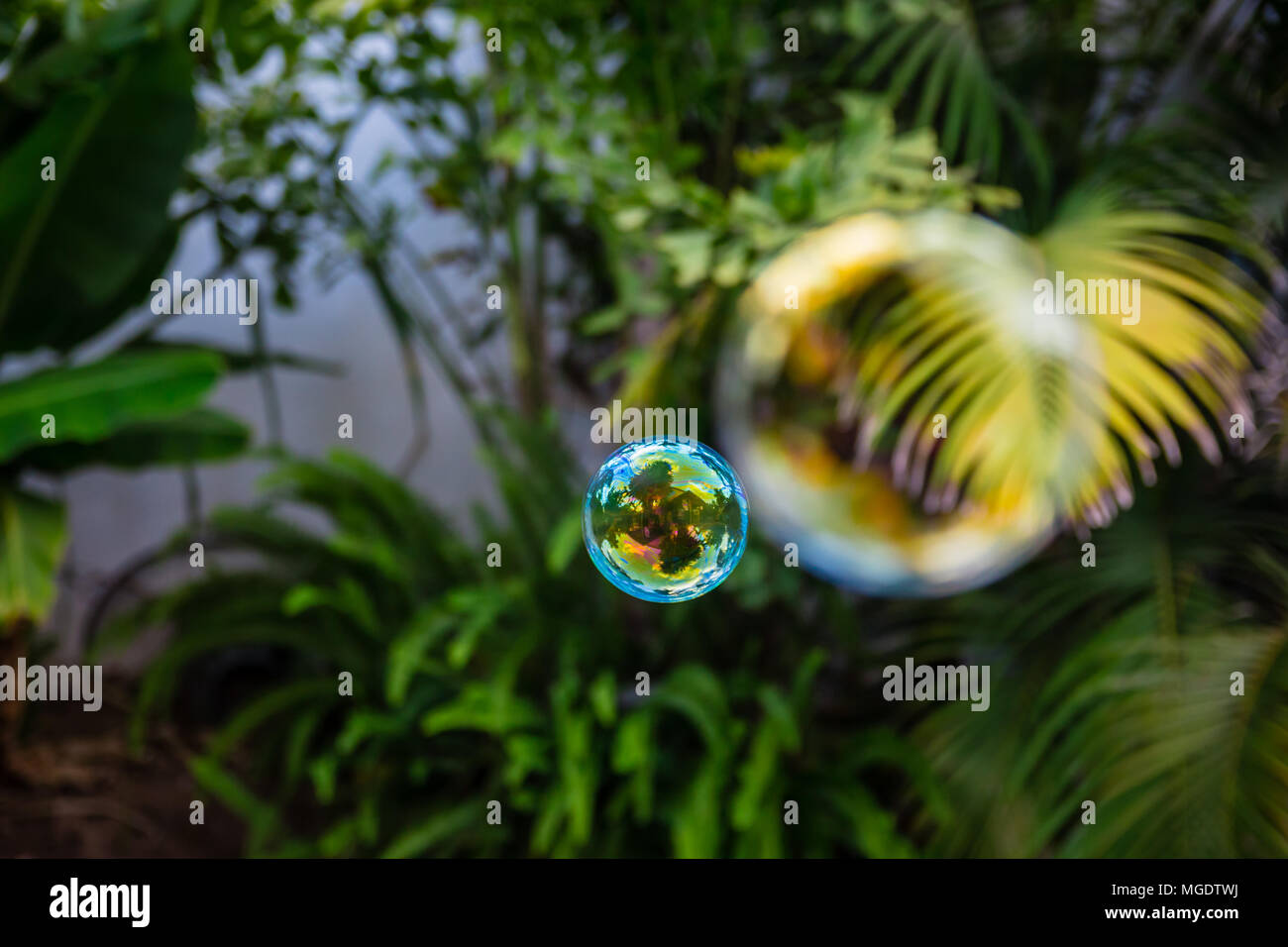 Soap bubbles fly in the garden Stock Photo - Alamy