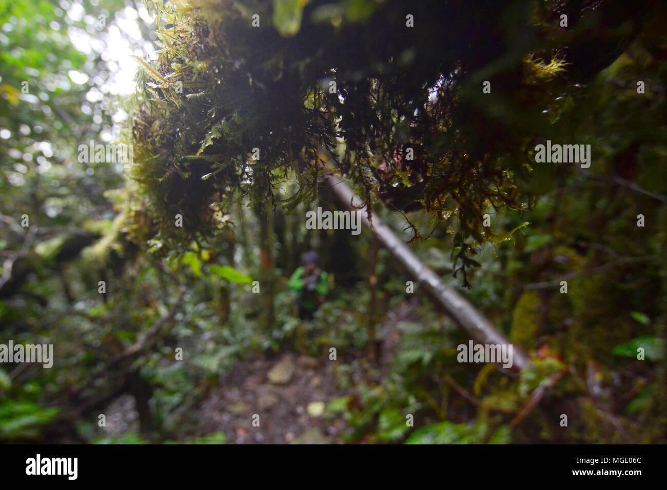The Meratus mountains, South Borneo, Indonesia Stock Photo - Alamy