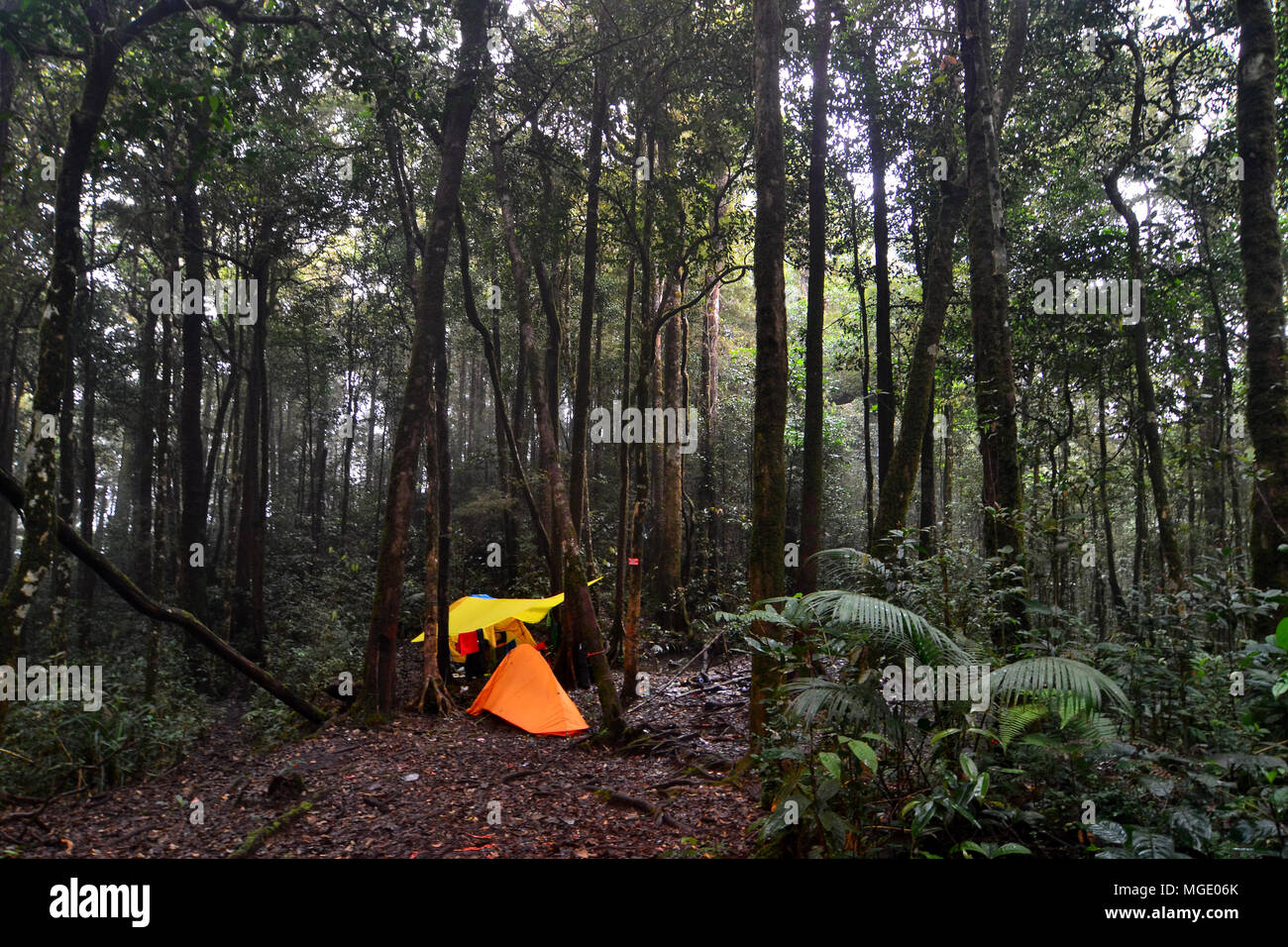 The Meratus mountains, South Borneo, Indonesia Stock Photo - Alamy