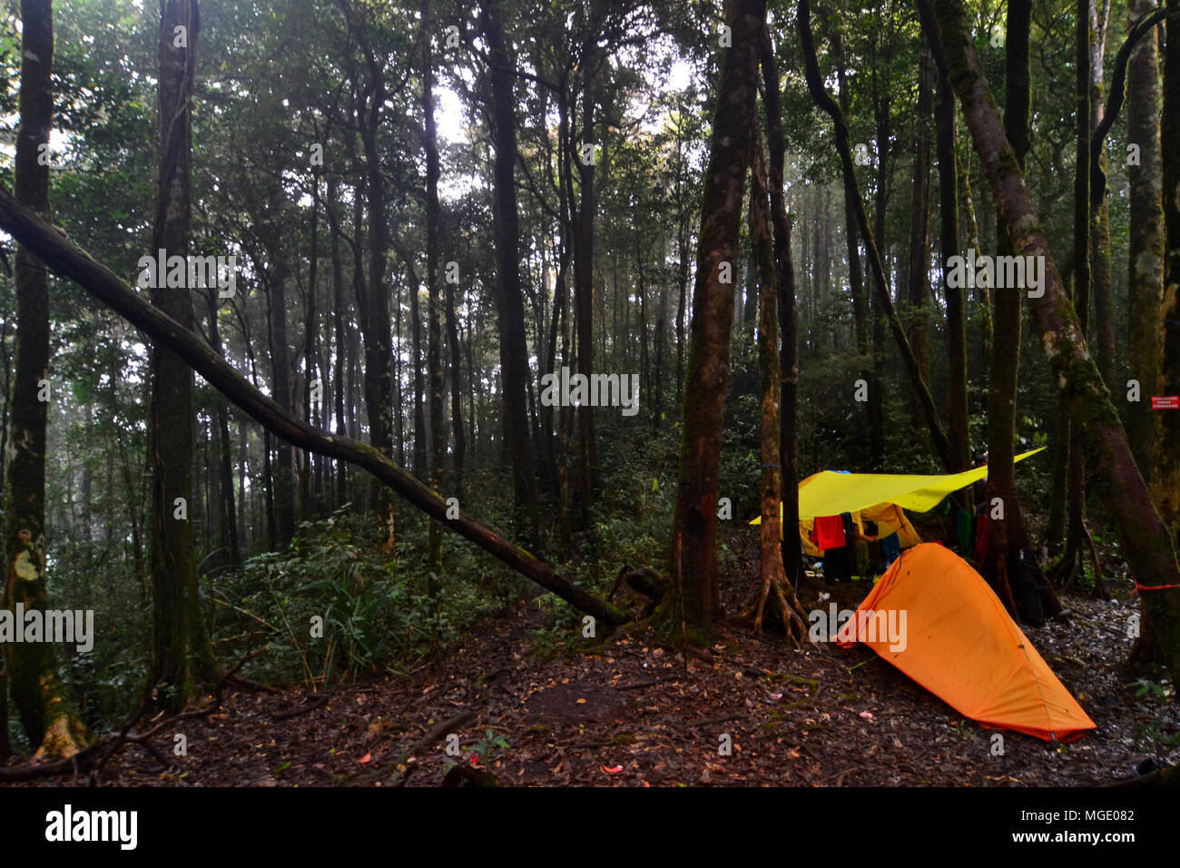 The Meratus mountains, South Borneo, Indonesia Stock Photo - Alamy