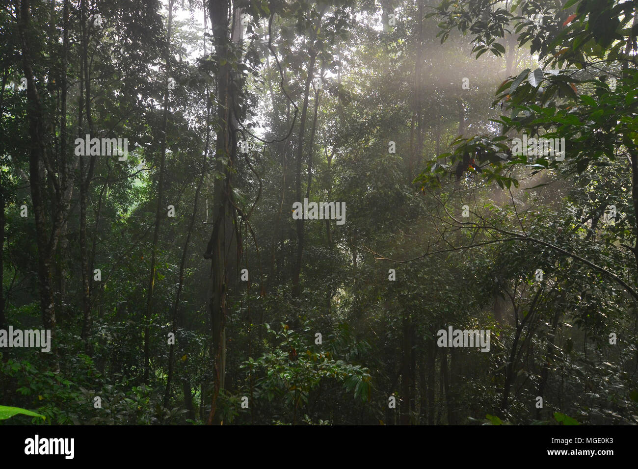 The Meratus mountains, South Borneo, Indonesia Stock Photo - Alamy