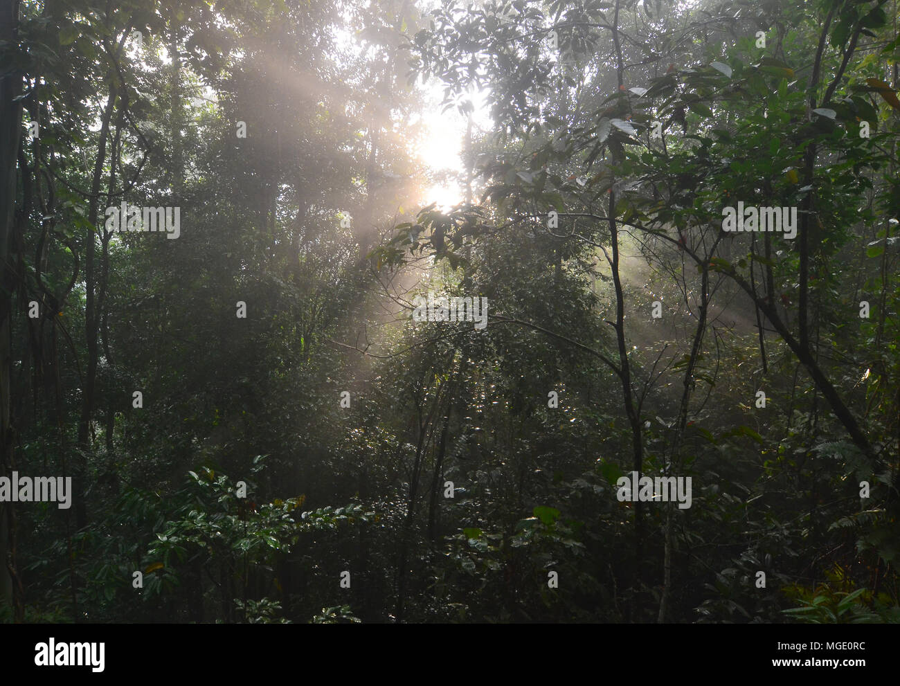 The Meratus mountains, South Borneo, Indonesia Stock Photo - Alamy