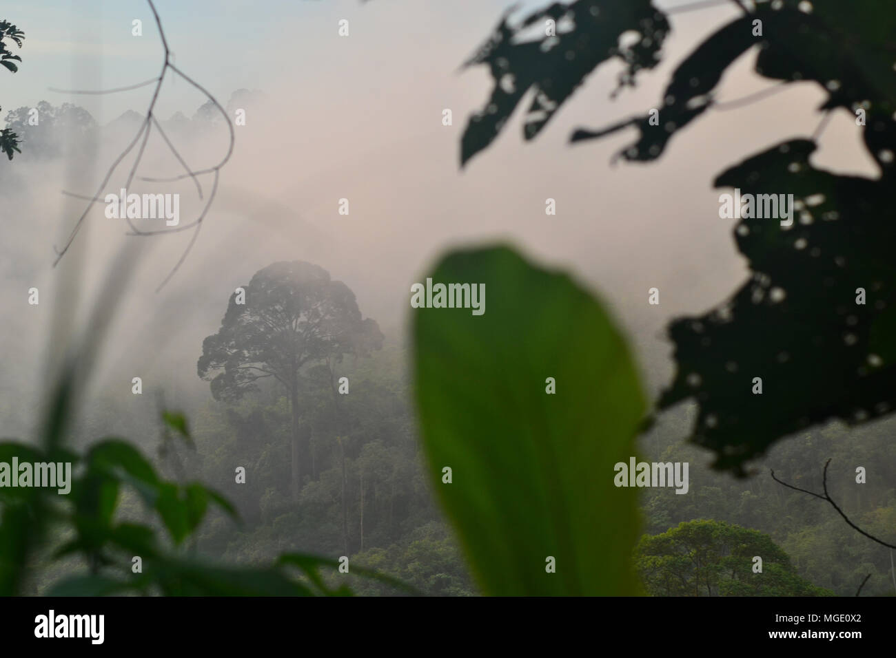 The Meratus mountains, South Borneo, Indonesia Stock Photo - Alamy
