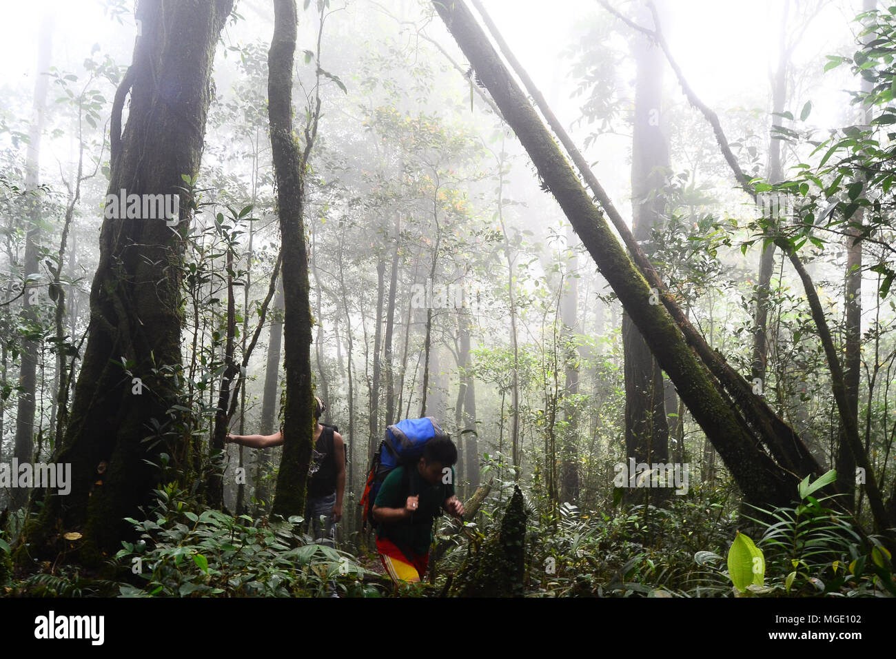 The Meratus mountains, South Borneo, Indonesia Stock Photo - Alamy
