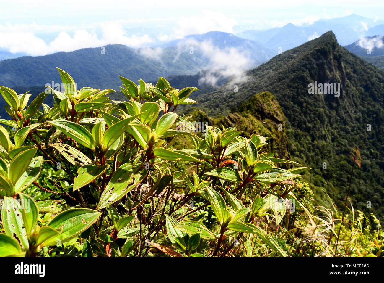 The Meratus mountains, South Borneo, Indonesia Stock Photo - Alamy