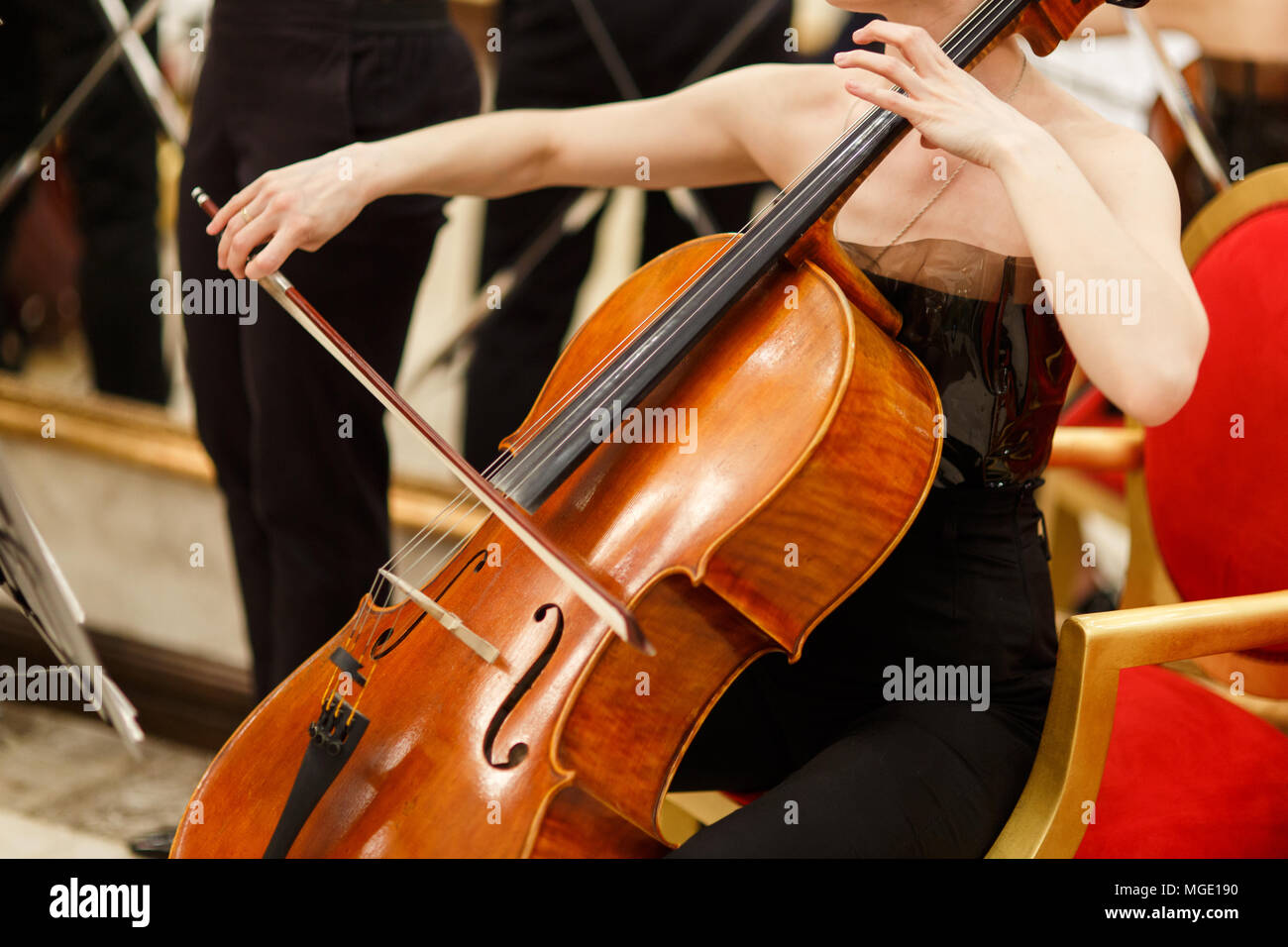 Woman playing cello hi-res stock photography and images - Alamy