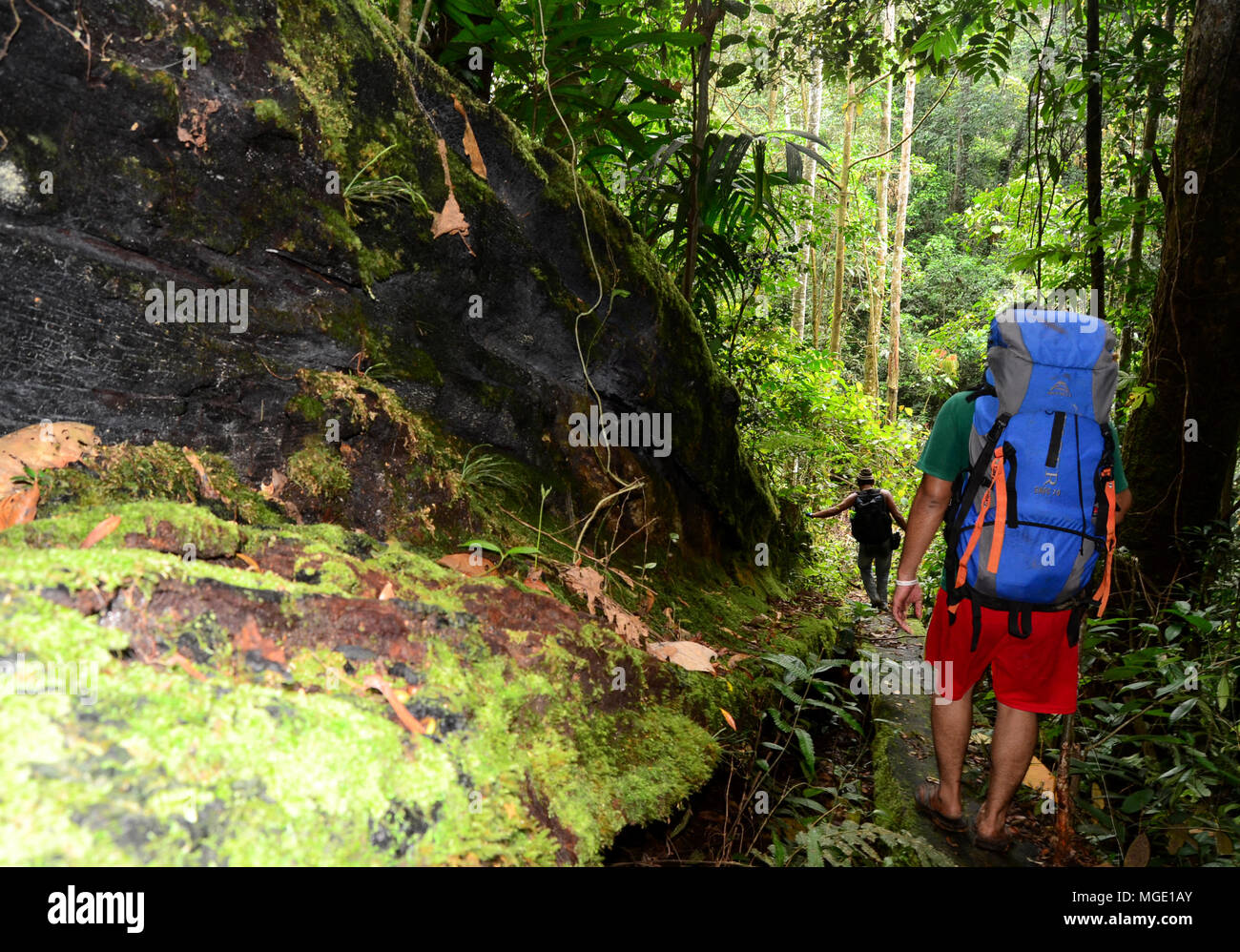 The Meratus mountains, South Borneo, Indonesia Stock Photo - Alamy