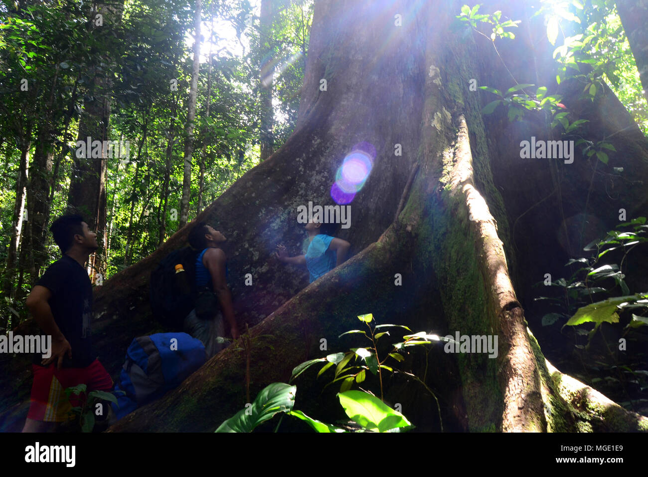The Meratus mountains, South Borneo, Indonesia Stock Photo - Alamy