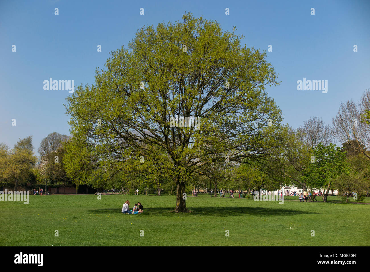 Old Oak Common London Stock Photos & Old Oak Common London Stock Images ...