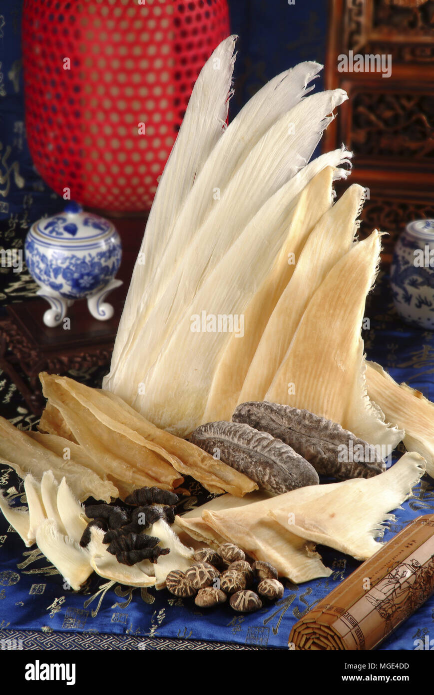 Chinese shark fin sea cucumber hi-res stock photography and images - Alamy