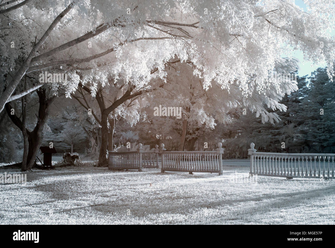 Infrared rays hi-res stock photography and images - Alamy