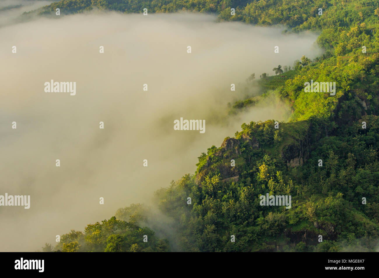 Mangunan fruit garden bantul hi-res stock photography and images - Alamy