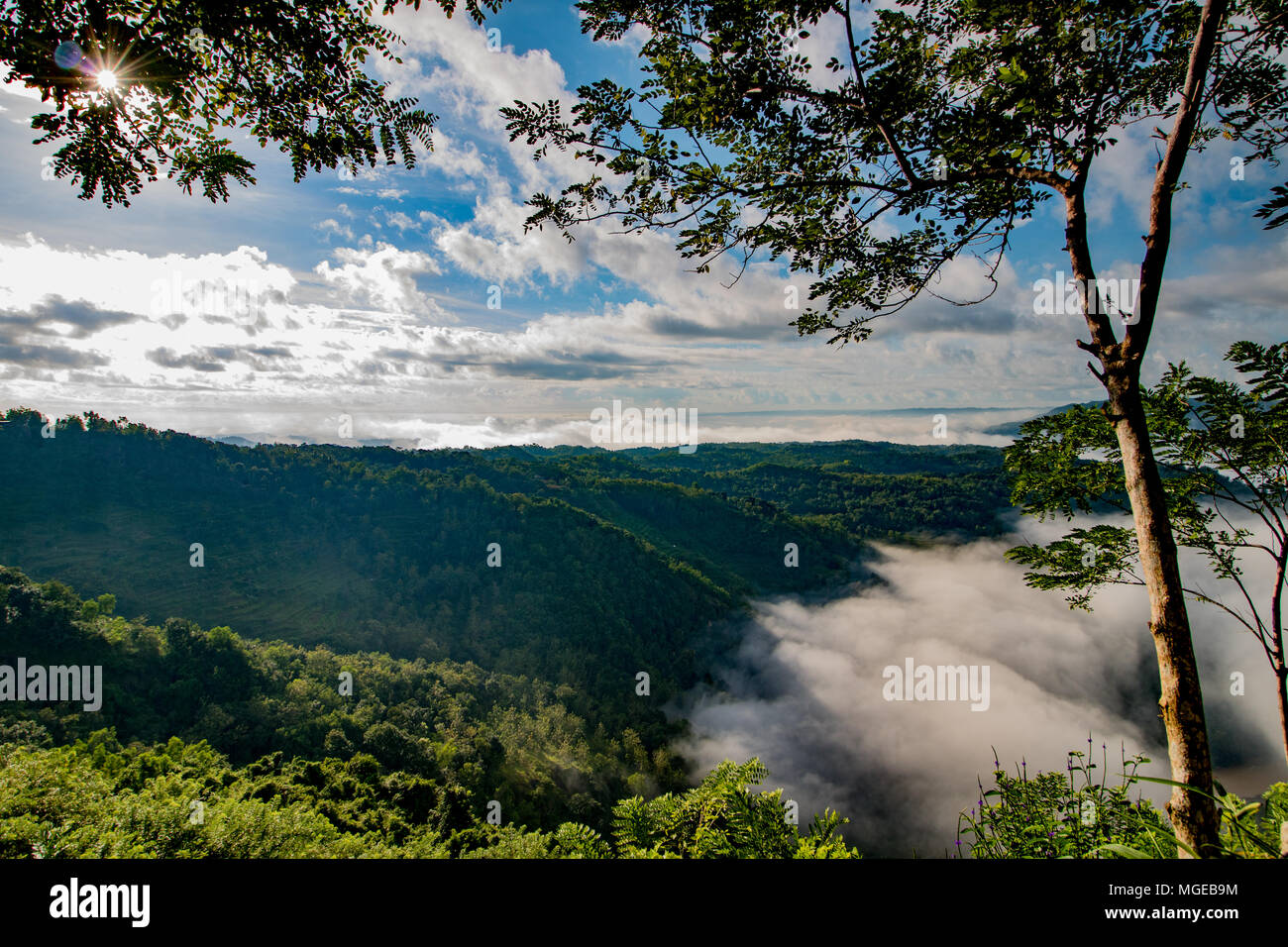 mangunan (also known as kebun buah mangunan) is one of the most popular ...