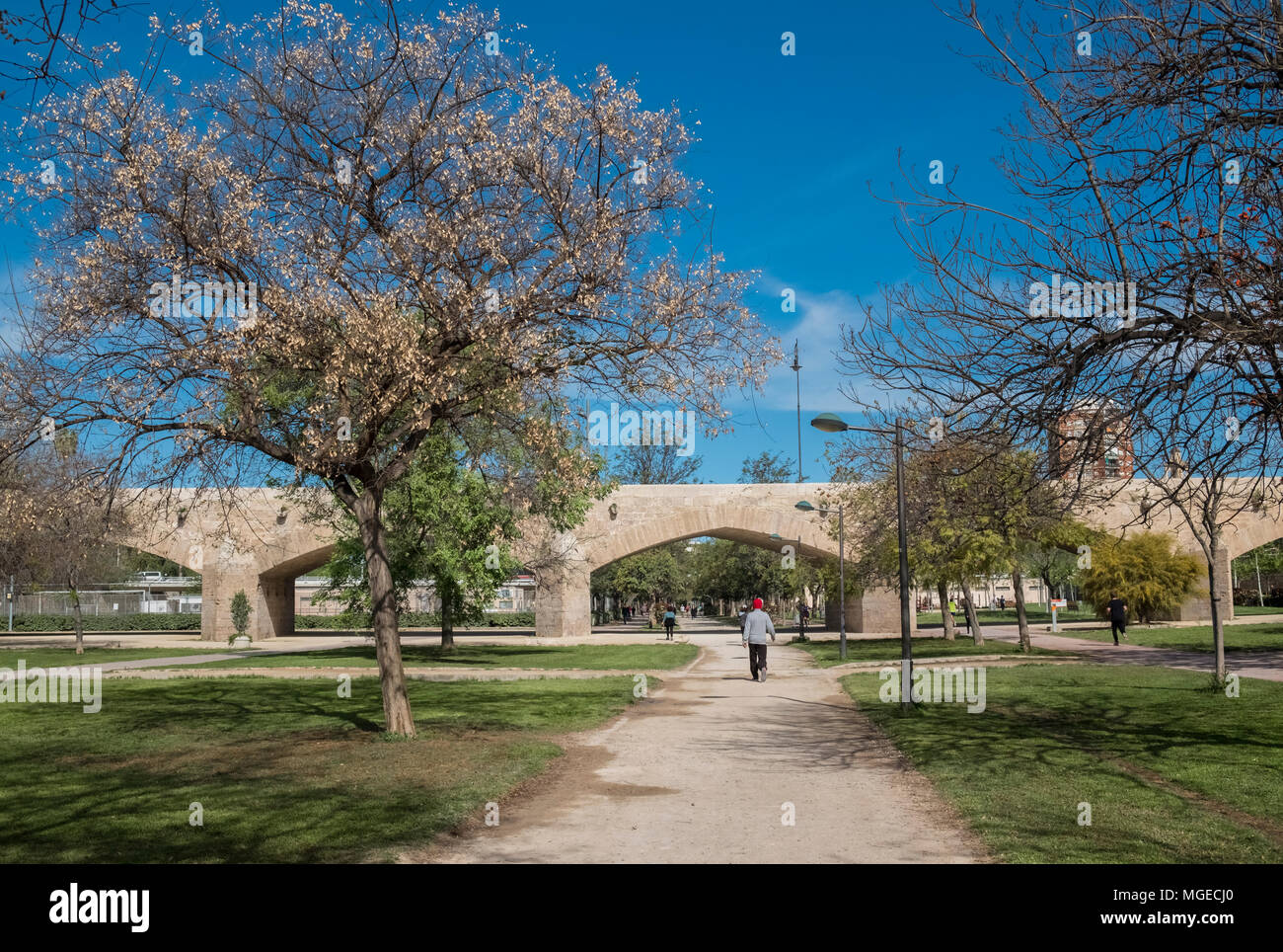 Turia gardens hi-res stock photography and images - Alamy