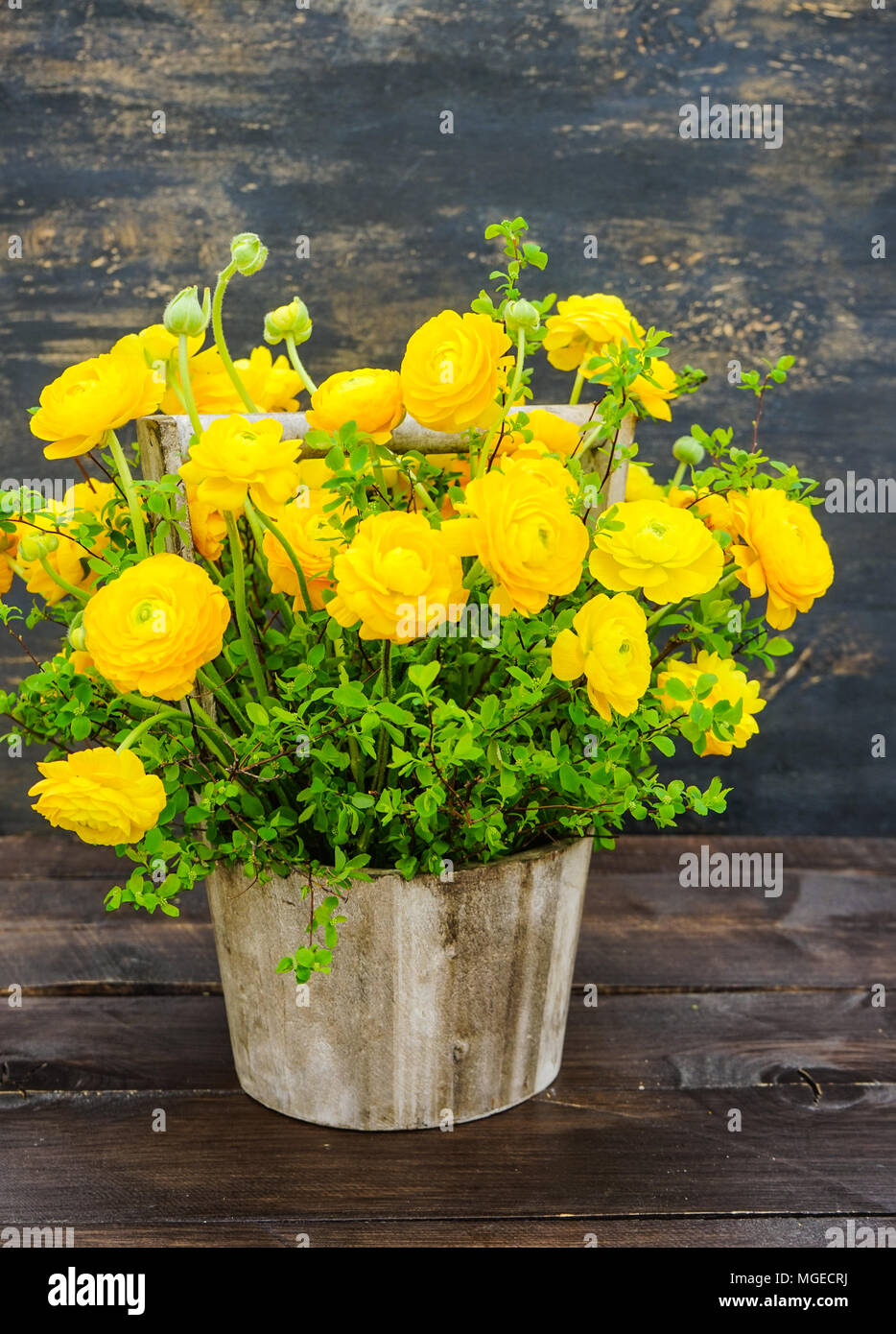 Summer bouquet with bright yellow flowers on rustic background with ...