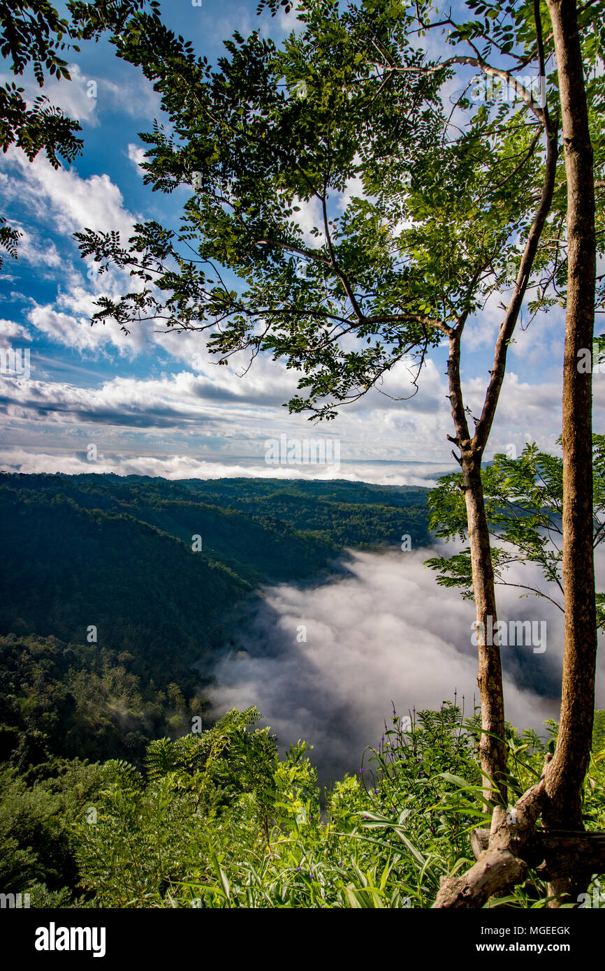 mangunan (also known as kebun buah mangunan) is one of the most popular ...