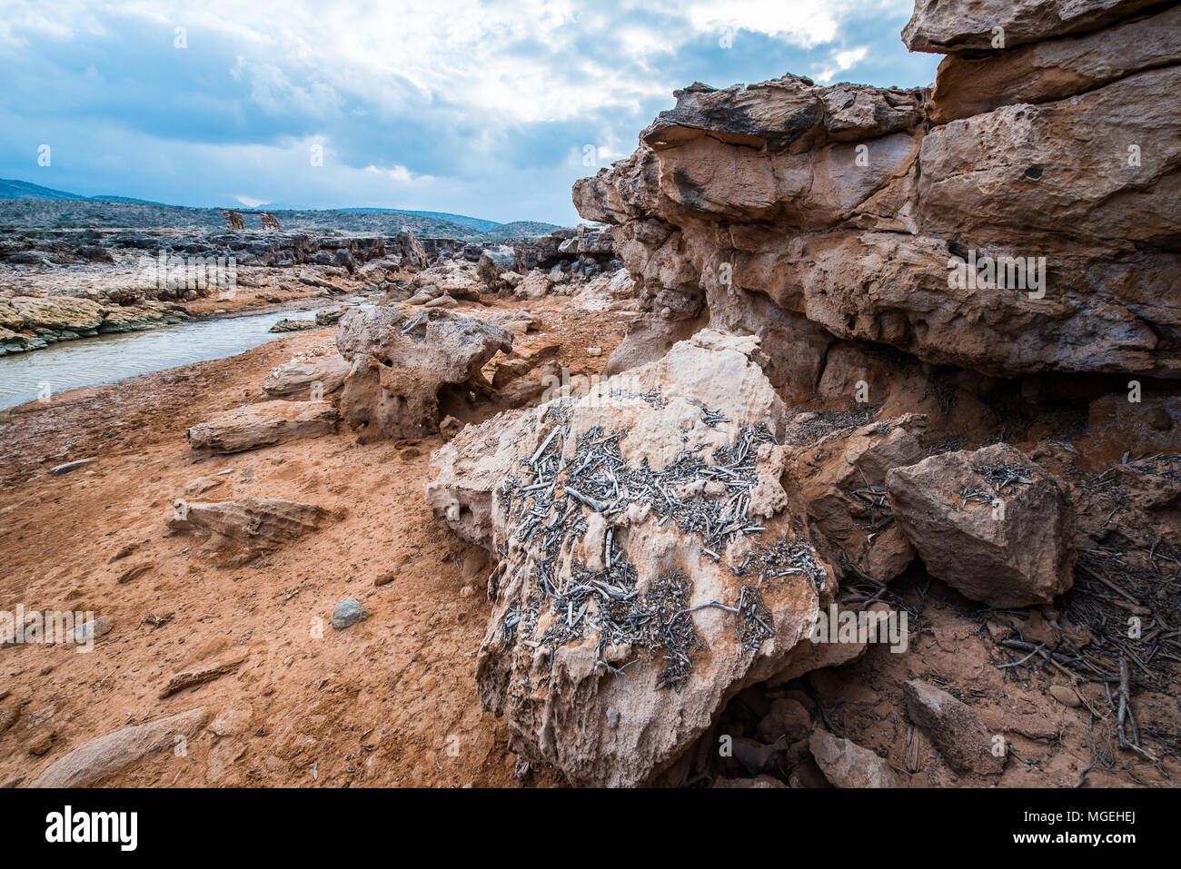 Rock formations on the Socotra Island, Yemen Stock Photo - Alamy