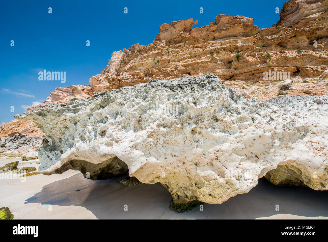 Stone on the coast of the ocean Stock Photo - Alamy