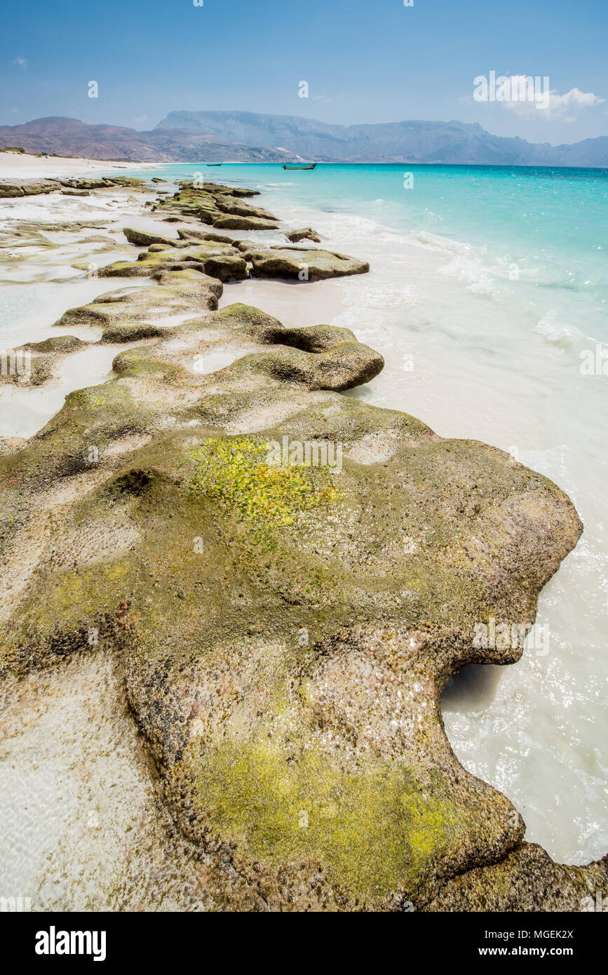 Beautiful nature of the coast of the Indian Ocean Stock Photo - Alamy