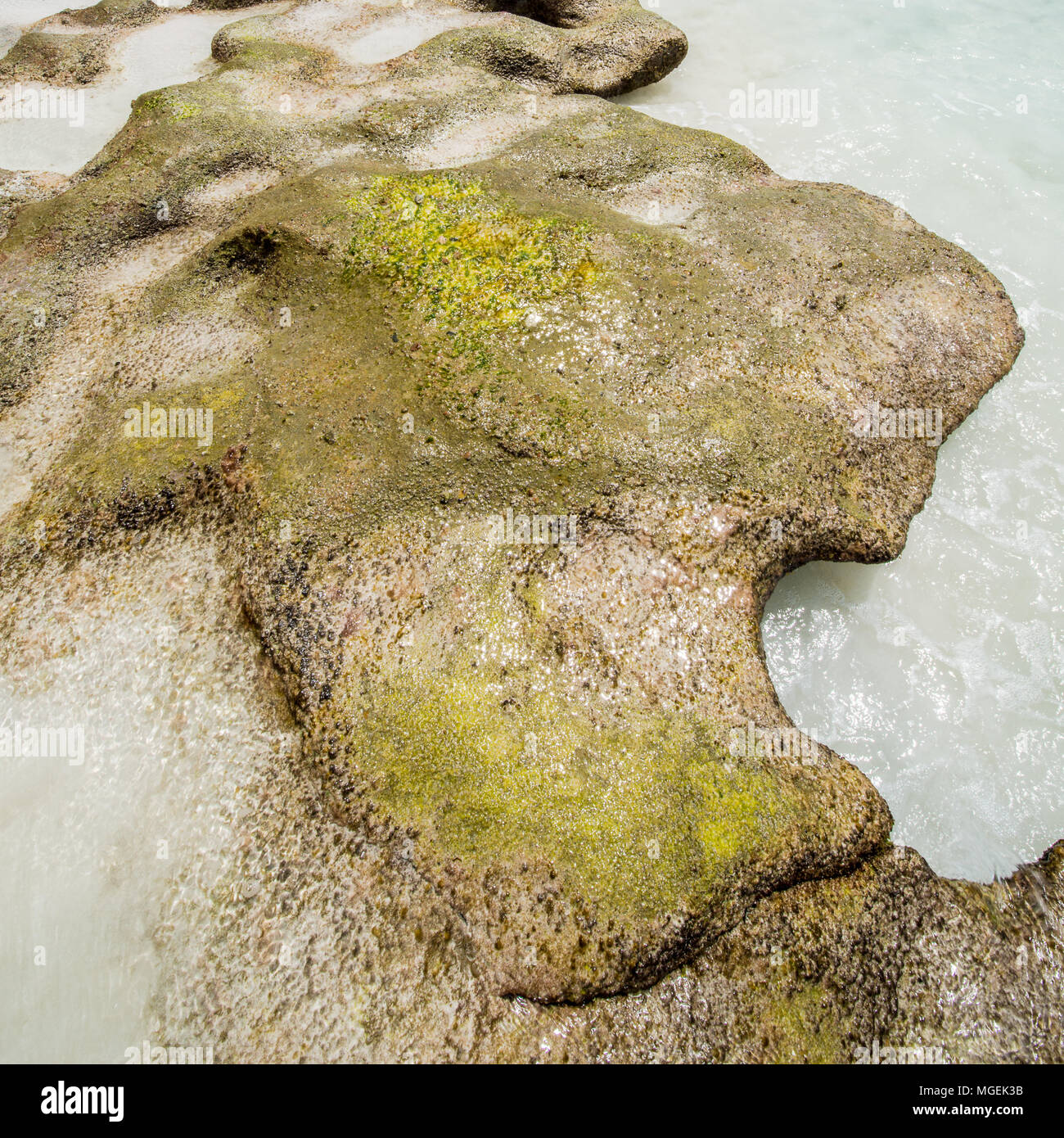 Beautiful nature of the coast of the Indian Ocean Stock Photo - Alamy