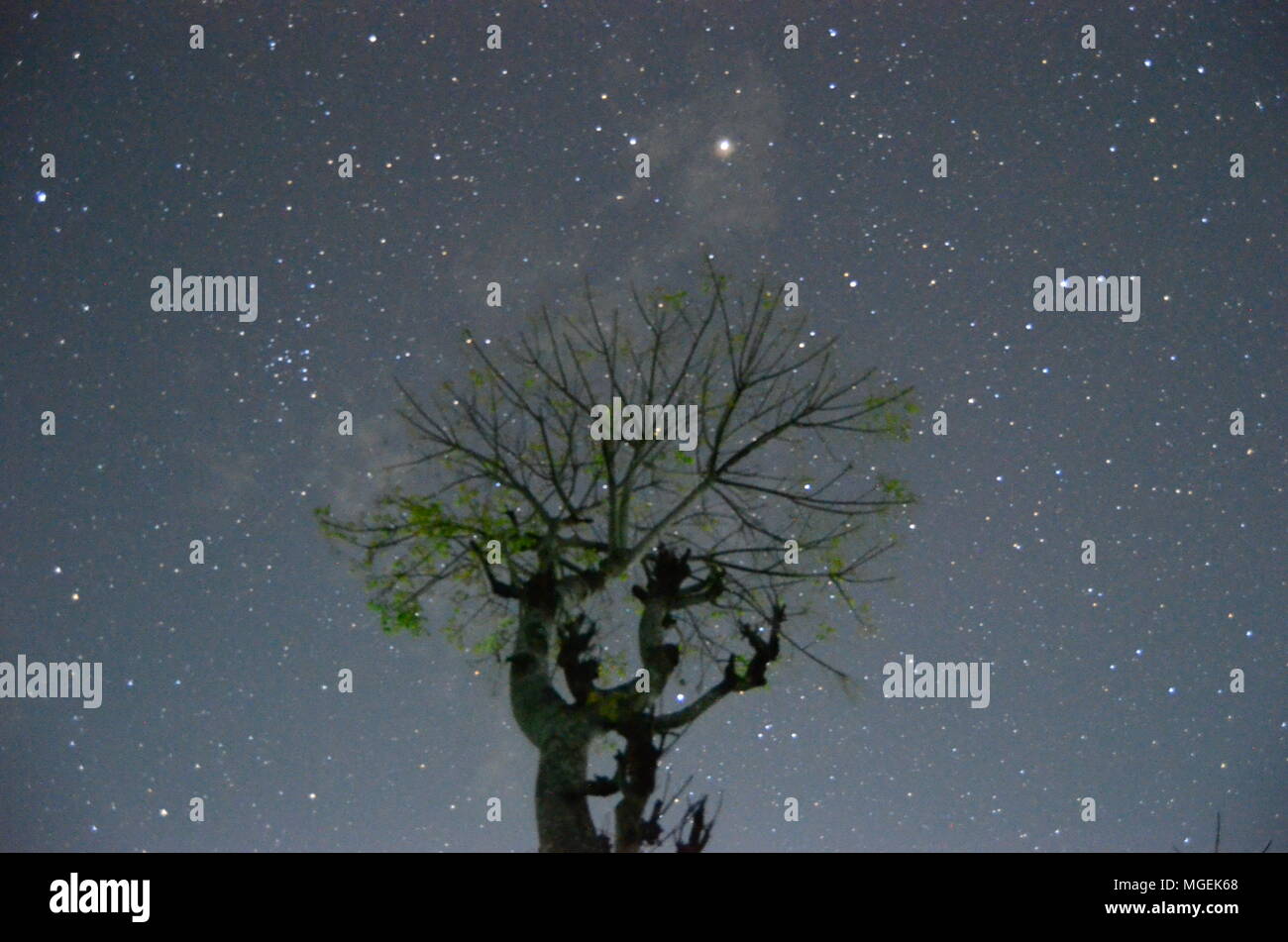 beautiful night astrophotography with beautiful and interesting stars ...