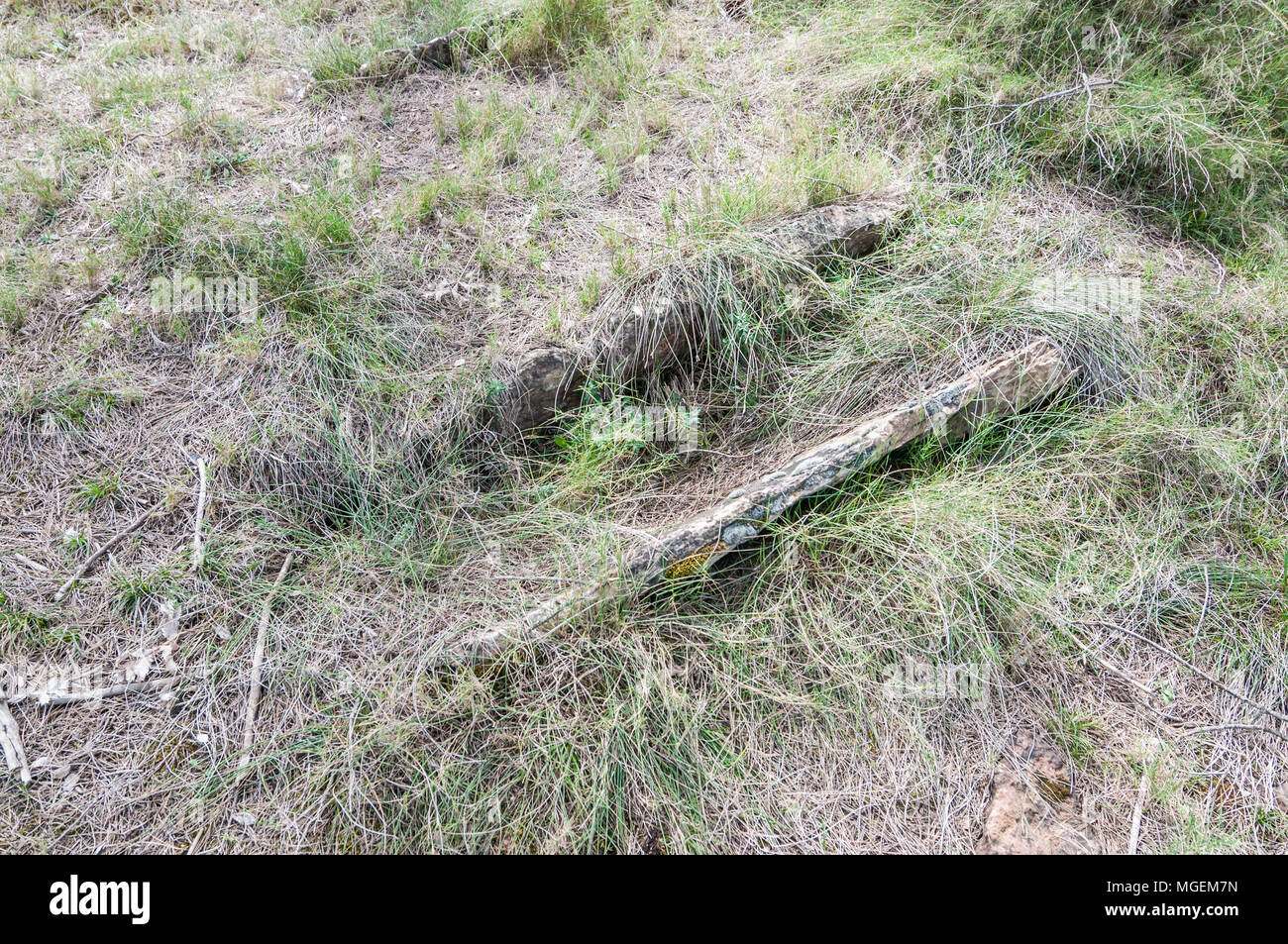 Open tomb hi-res stock photography and images - Alamy