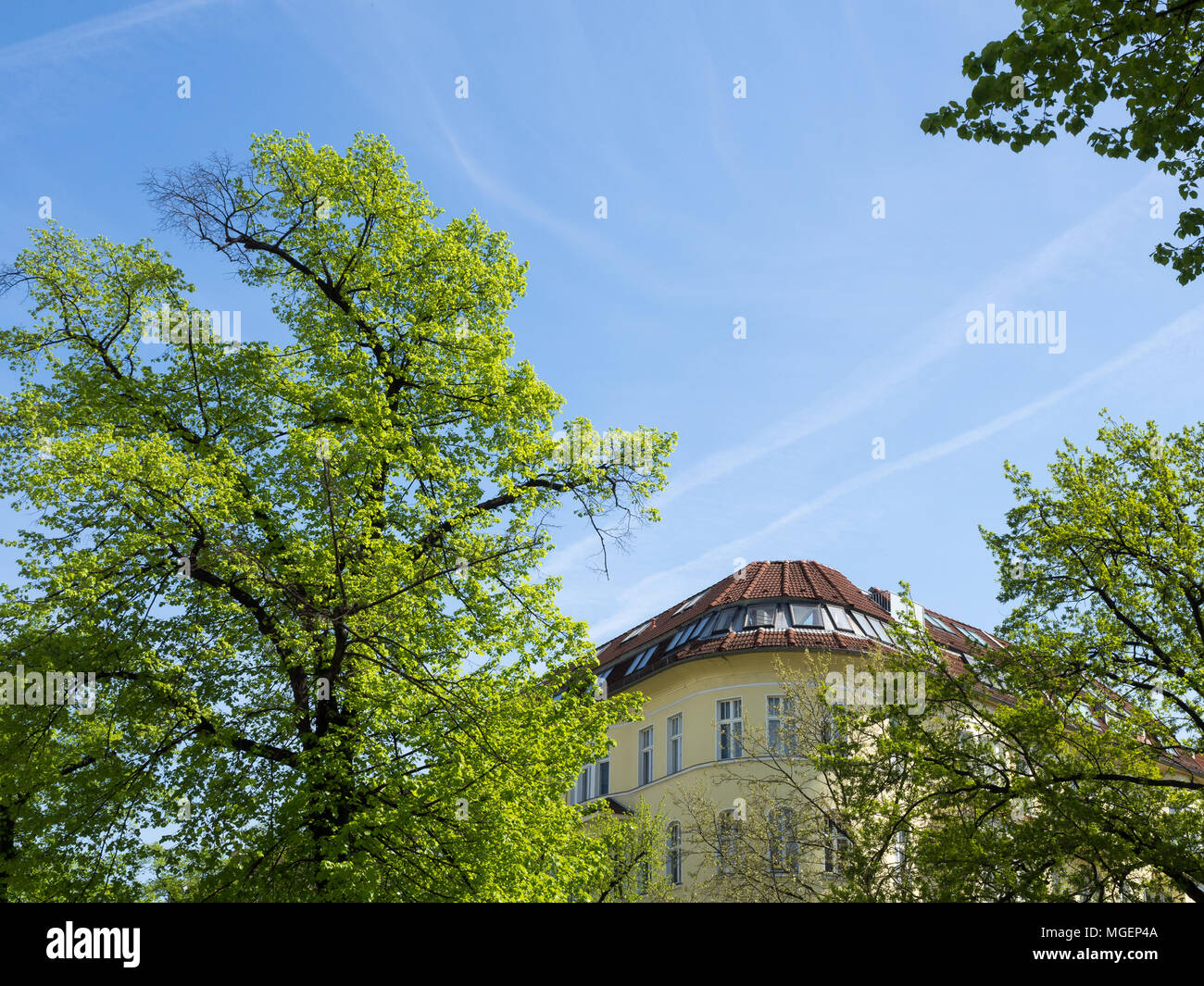 Fresh green trees, bright blue sky and beautiful old building during ...