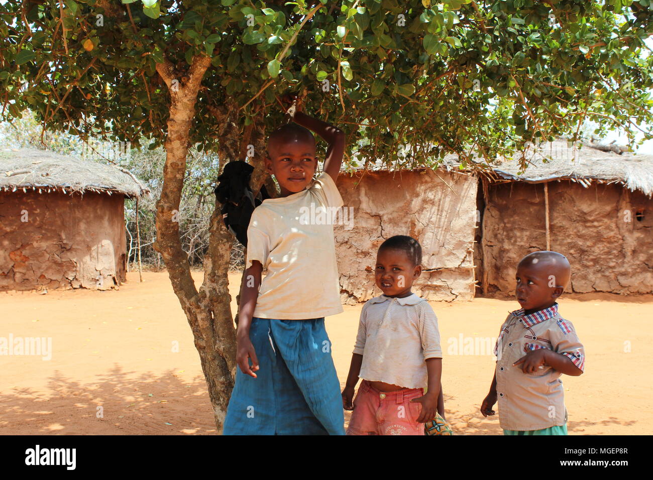 Smiling African children portrayed under a tree in a small African ...