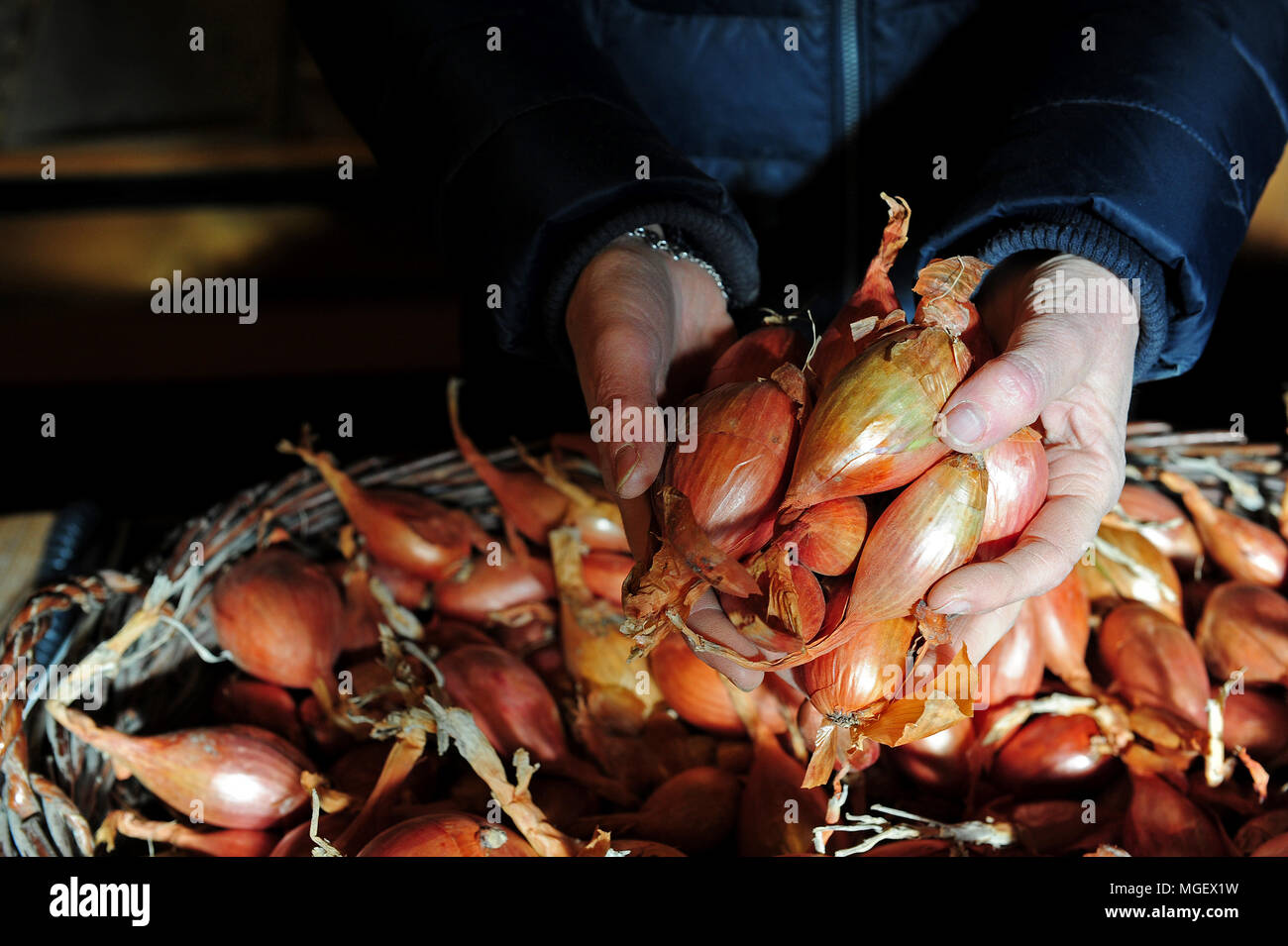 French shallots for sale at La Ferme des Beaux Bois, a local producer ...