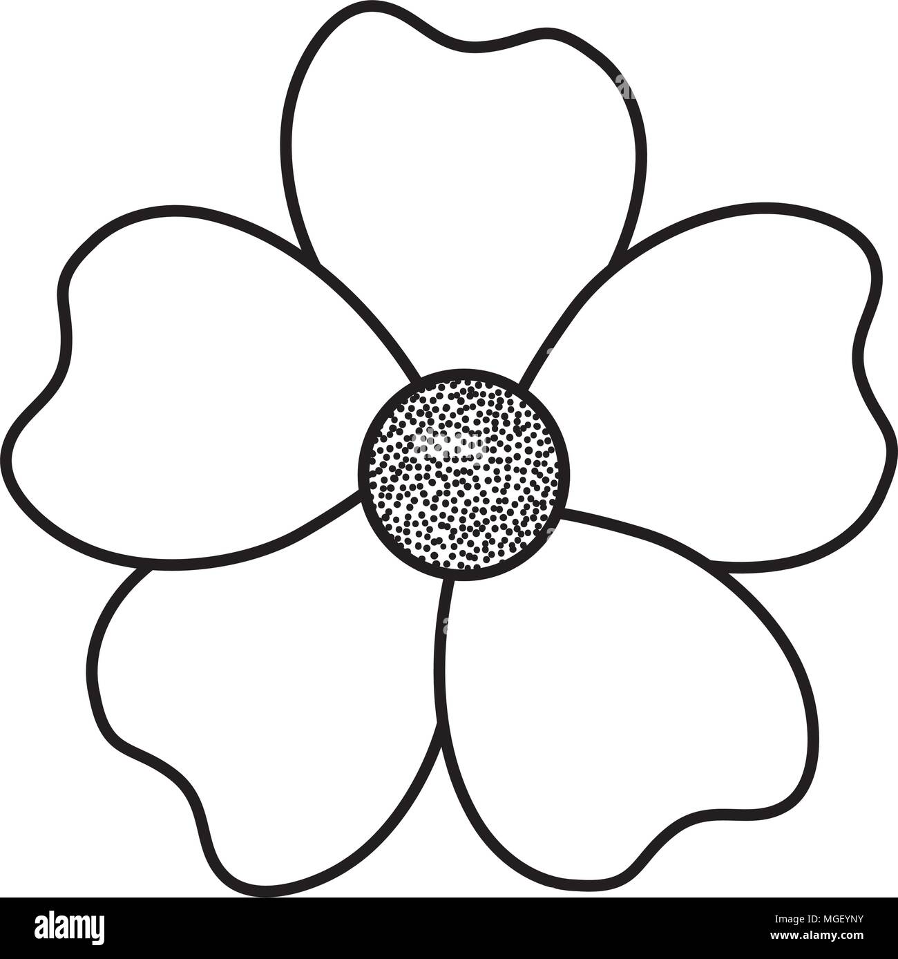 beautiful flower decorative icon Stock Vector Image & Art - Alamy