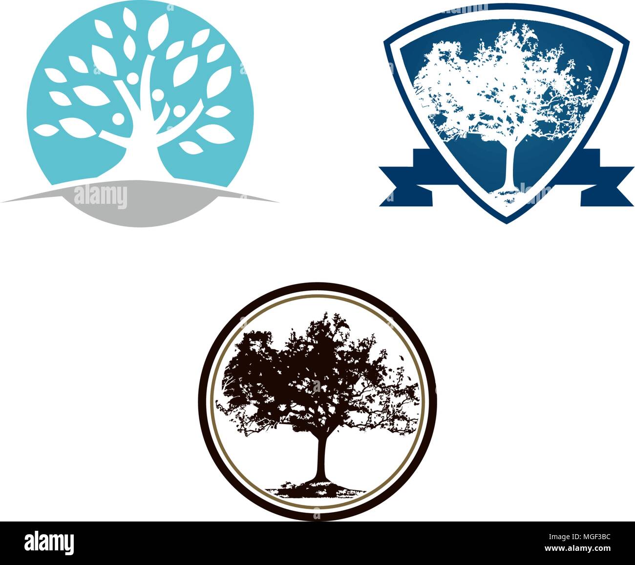 Oak Tree Template Set Stock Vector Image & Art - Alamy