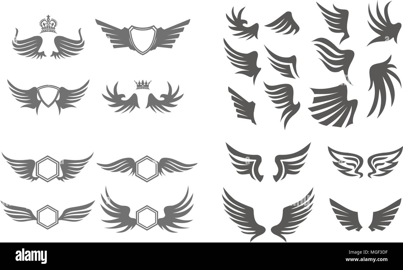 Wing Collection Set Stock Vector Image & Art - Alamy